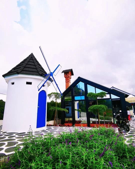 The Floral Vacation | Cameron Santorini - A Mediterranean Experience in ...